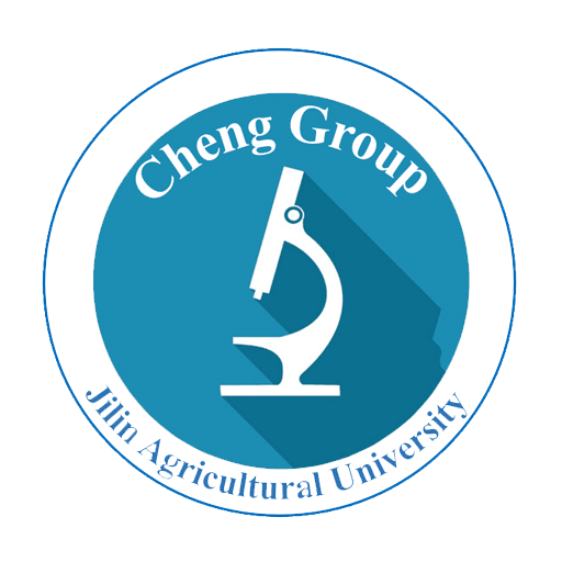 cropped-logo.png - Cheng Group